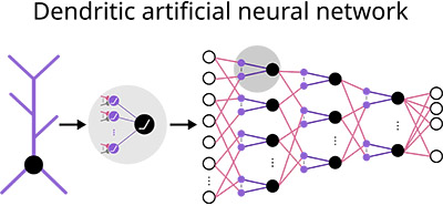 Home [www.imbb.forth.gr]